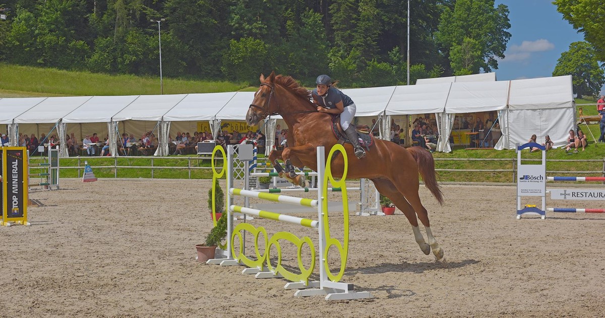 Rottaler Pferdesporttage | Anzeiger vom Rottal