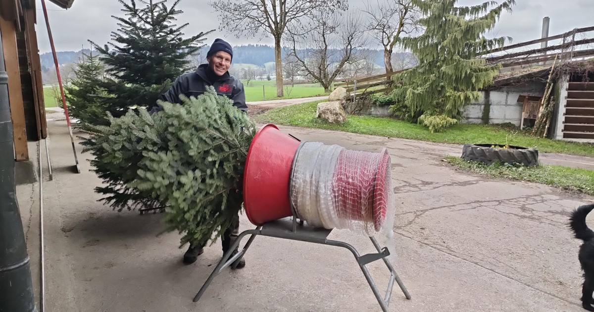 Oh Tannenbaum, oh Tannenbaum… | Anzeiger vom Rottal