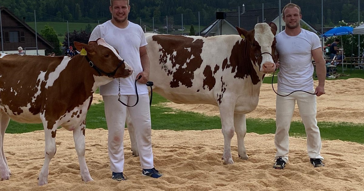 Grosswangen bejubelt Doppelsieg | Anzeiger vom Rottal